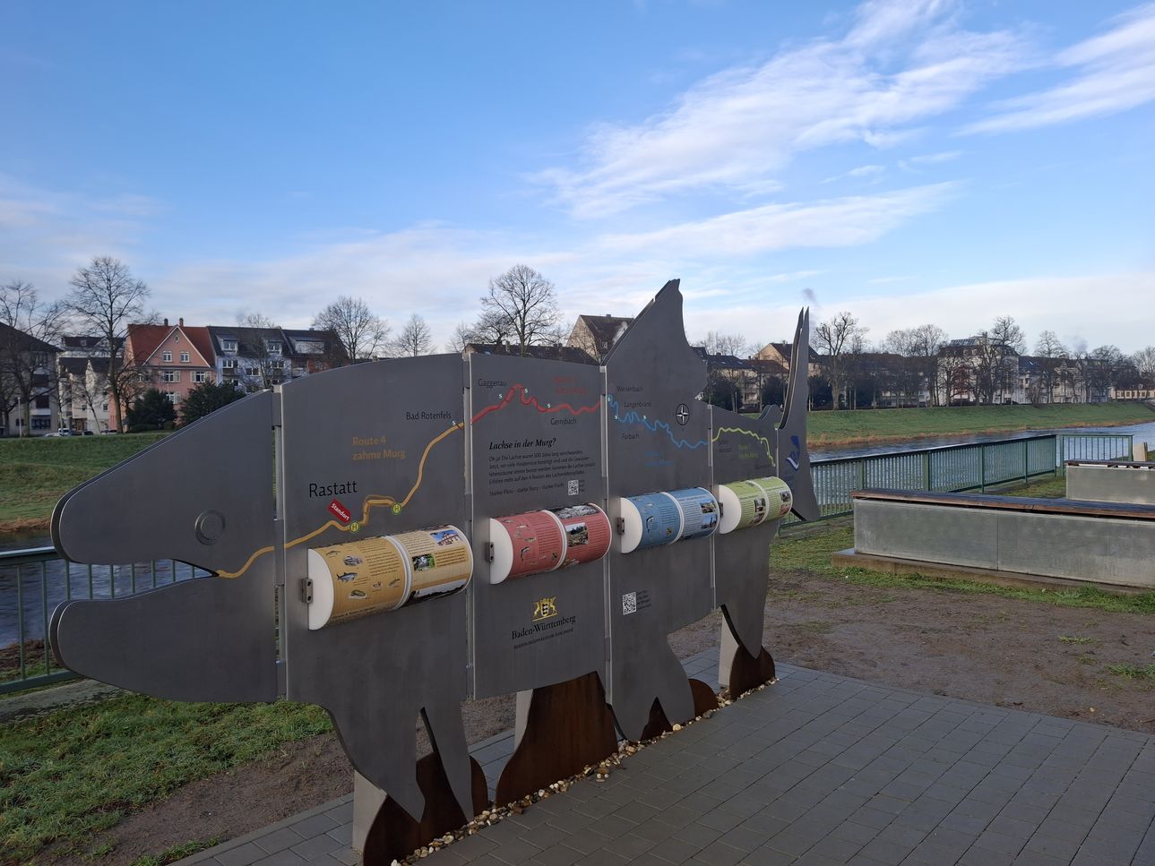 Auf den Spuren der Lachse in der Murg | Rastatt